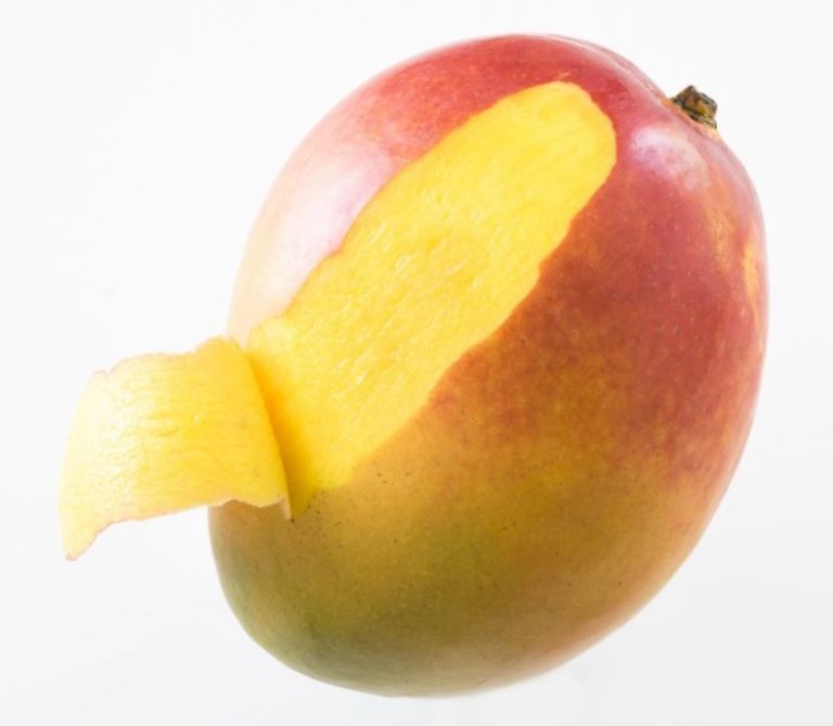 Can Rabbits Eat Mango? And Facts You Should Know!